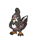 Pokéos | The Ultimate Pokémon Website | Pokémon Tools, News, TCG, Anime ...